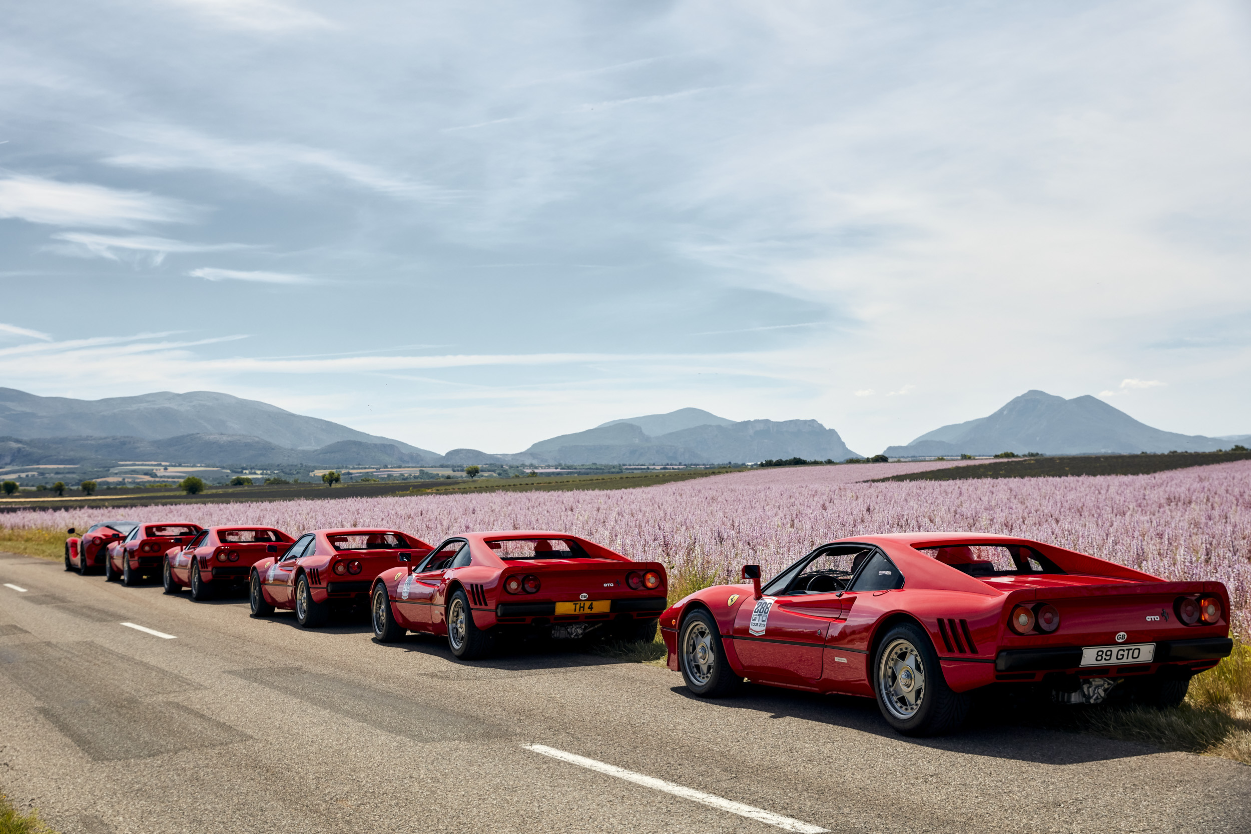 Ferrari 288 GTO Tour Tom Hartley Jnr ferrari-288-gto-tour-tom-hartley-jnr